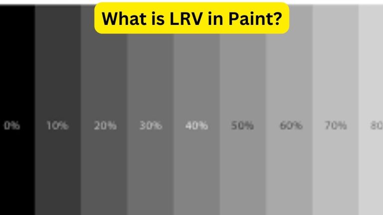 What is LRV in Paint? Unveiling Color Secrets